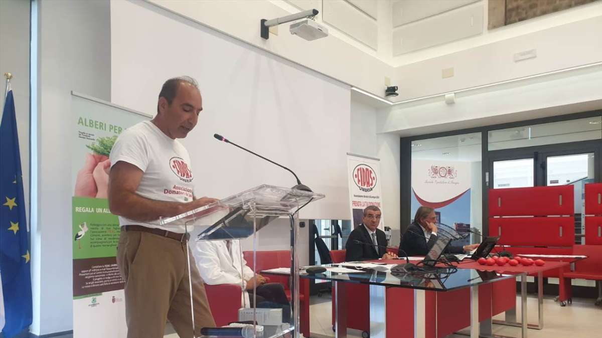 “Alberi per la vita” della Fidas Umbria: per ogni donazione di sangue ...
