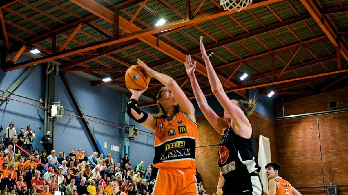 A2 F - Nord: nelle due Semifinali 1-0 per Sanga Milano e Costa Masnaga